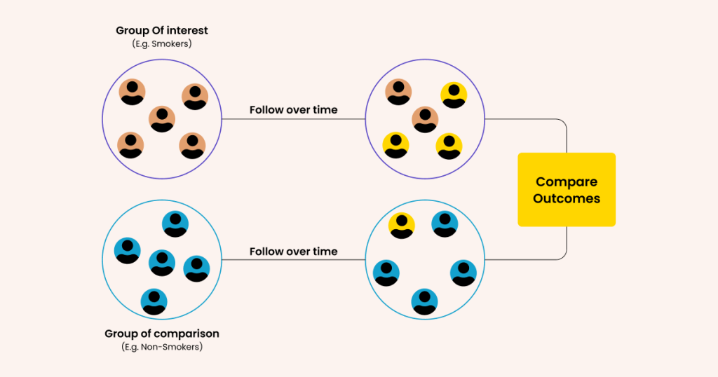 Cohort Analysis: Understanding & Optimizing User Behavior